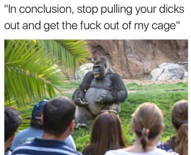 70 Today’s Most Funny Memes (#685) – FunnyFoto - Page 53