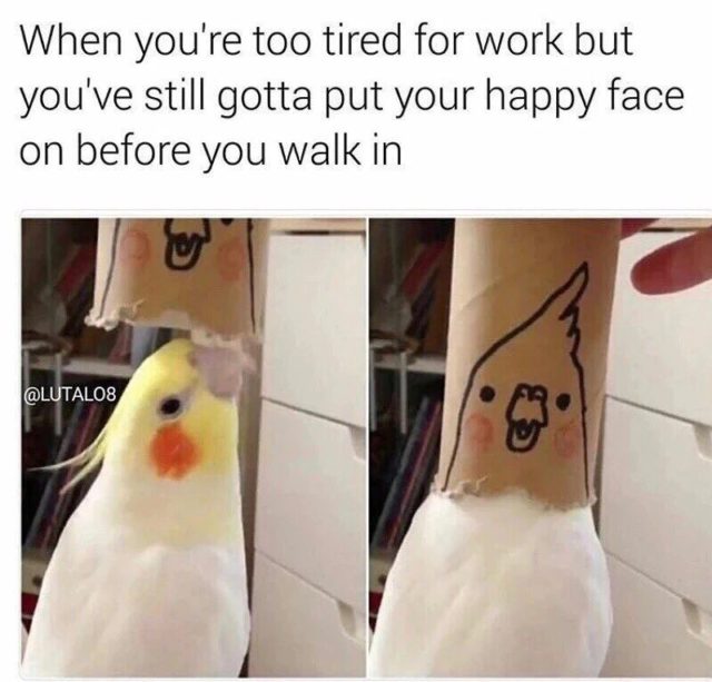 Bird - Funny Memes 15 Pics – FunnyFoto - Page 4