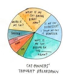 Hilarious Animal Charts That Will Make You Smarter – FunnyFoto