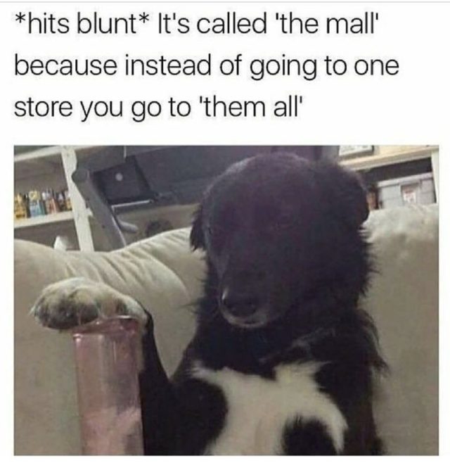 50 FRESH MEMES FOR TODAY #97 – FunnyFoto