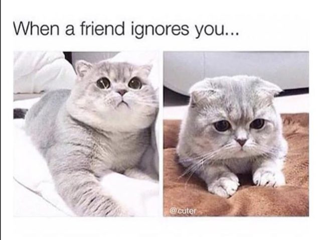 60 FRESH MEMES FOR TODAY #85 – FunnyFoto - Page 9