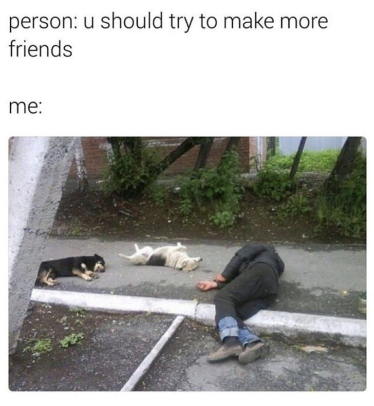 40 FRESH MEMES FOR TODAY #104 – FunnyFoto - Page 21