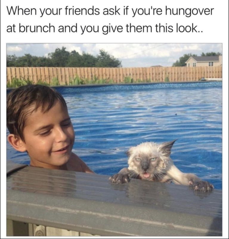 40 FUNNY MEMES FOR TODAY – FunnyFoto - Page 40