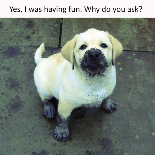 50 NEWEST MEMES FOR TODAY #176 – FunnyFoto