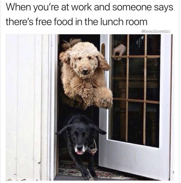 117 FRESH MEMES FOR TODAY #162 – FunnyFoto