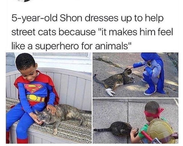 Cute Feel Good Wholesome Memes To Make Your Day – FunnyFoto - Page 23