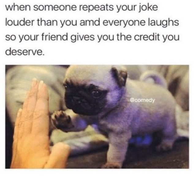 Cute Feel Good Wholesome Memes To Make Your Day – FunnyFoto - Page 34