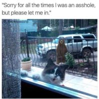 100 Funny Pictures For Today (#88) – FunnyFoto