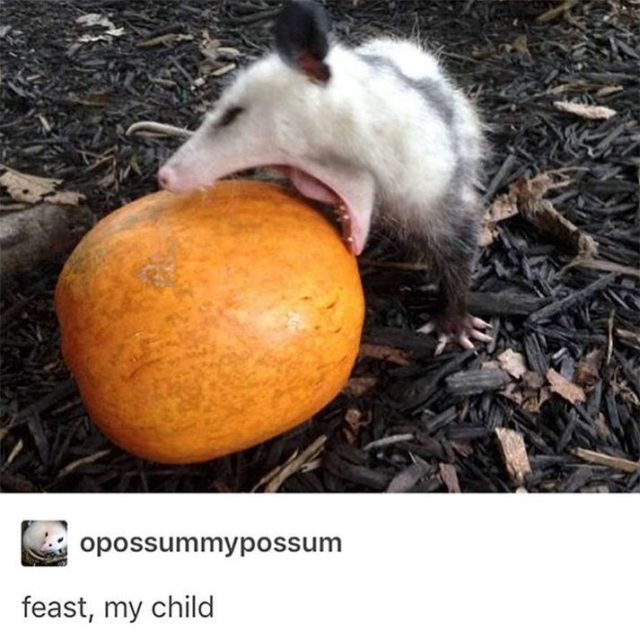 30 Funny Pictures For Today (#159) – FunnyFoto