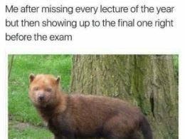 Epic Fails - 15 GIFs – Funnyfoto | Funny Pictures - Videos - Gifs