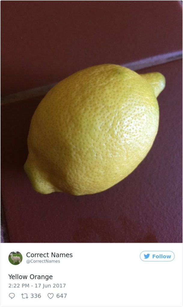 70 Funny Renamed Objects From Twitter – FunnyFoto - Page 44