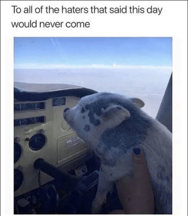 30 RANDOM MEMES FOR TODAY #513 – FunnyFoto