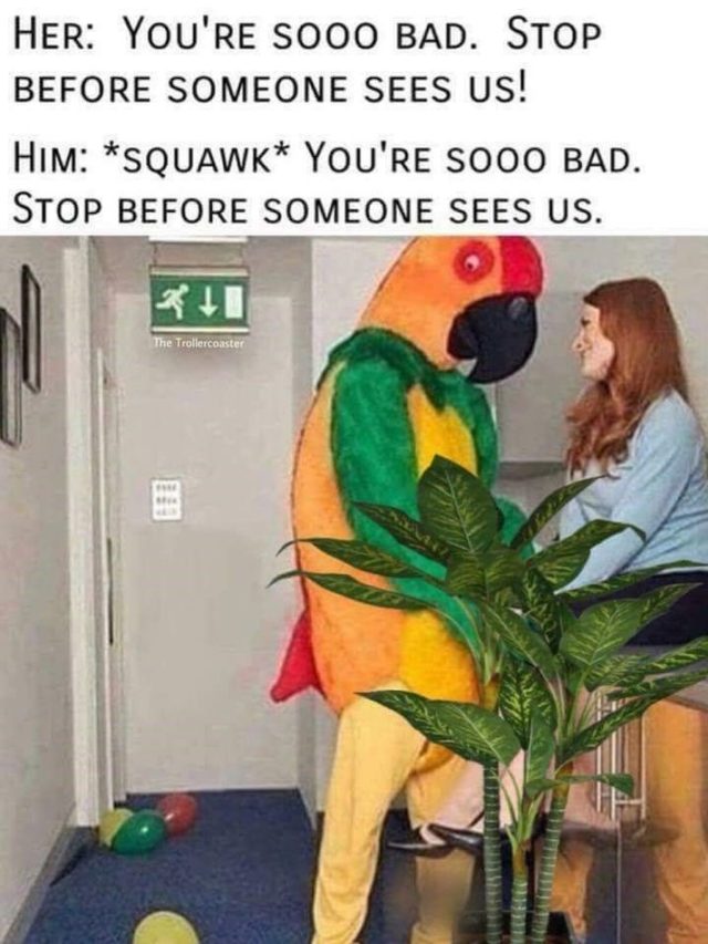 40 Funny Birb Memes – FunnyFoto