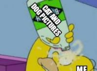 50 TGIF Memes – Funnyfoto | Funny Pictures - Videos - Gifs