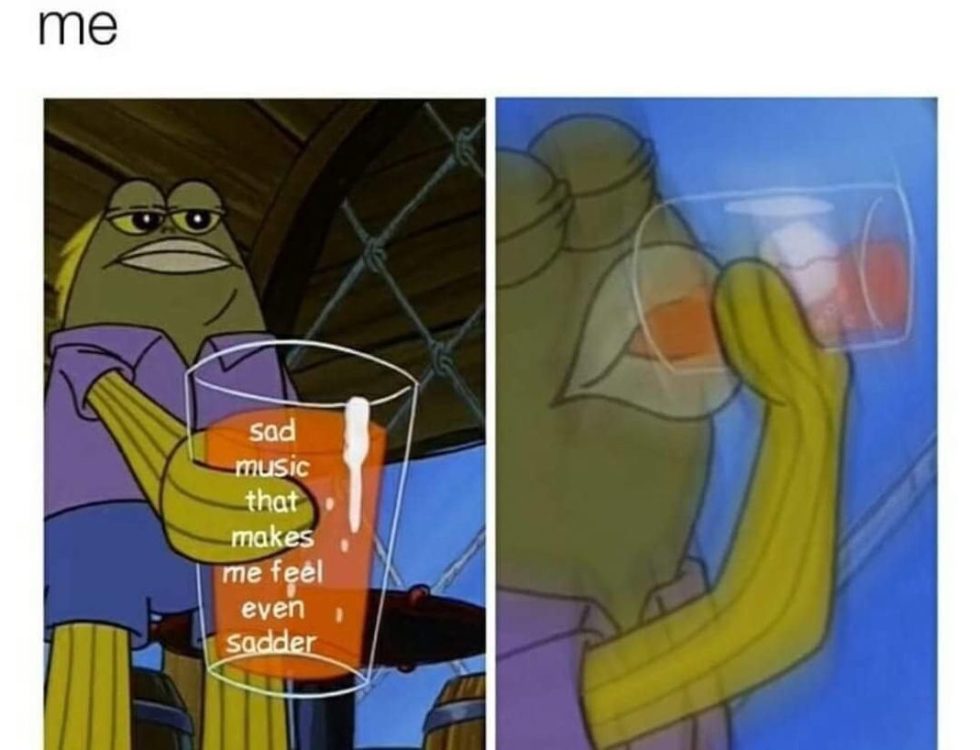 40 Spongebob Memes – FunnyFoto