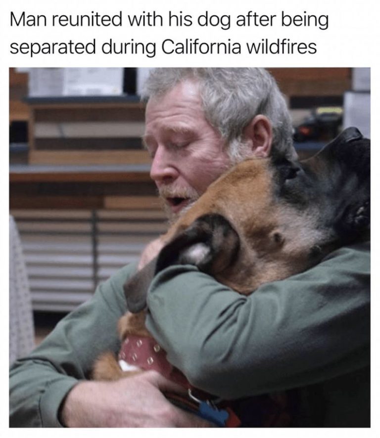 20 Heartwarming Memes – FunnyFoto - Page 9