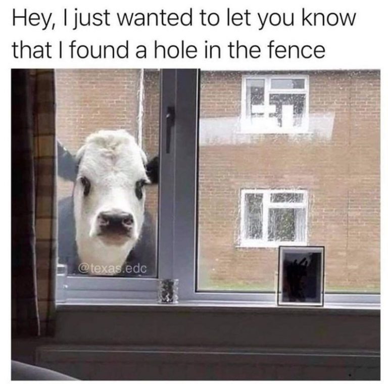 Funny Work Fails — 30 Pics – FunnyFoto