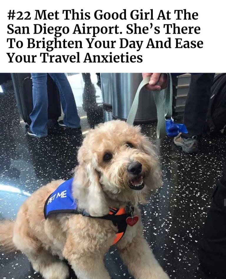 120+ FRESH MEMES FOR TODAY #109 – FunnyFoto - Page 88