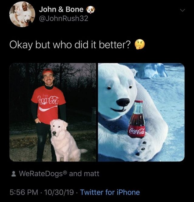 50 Hilarious Posts – FunnyFoto